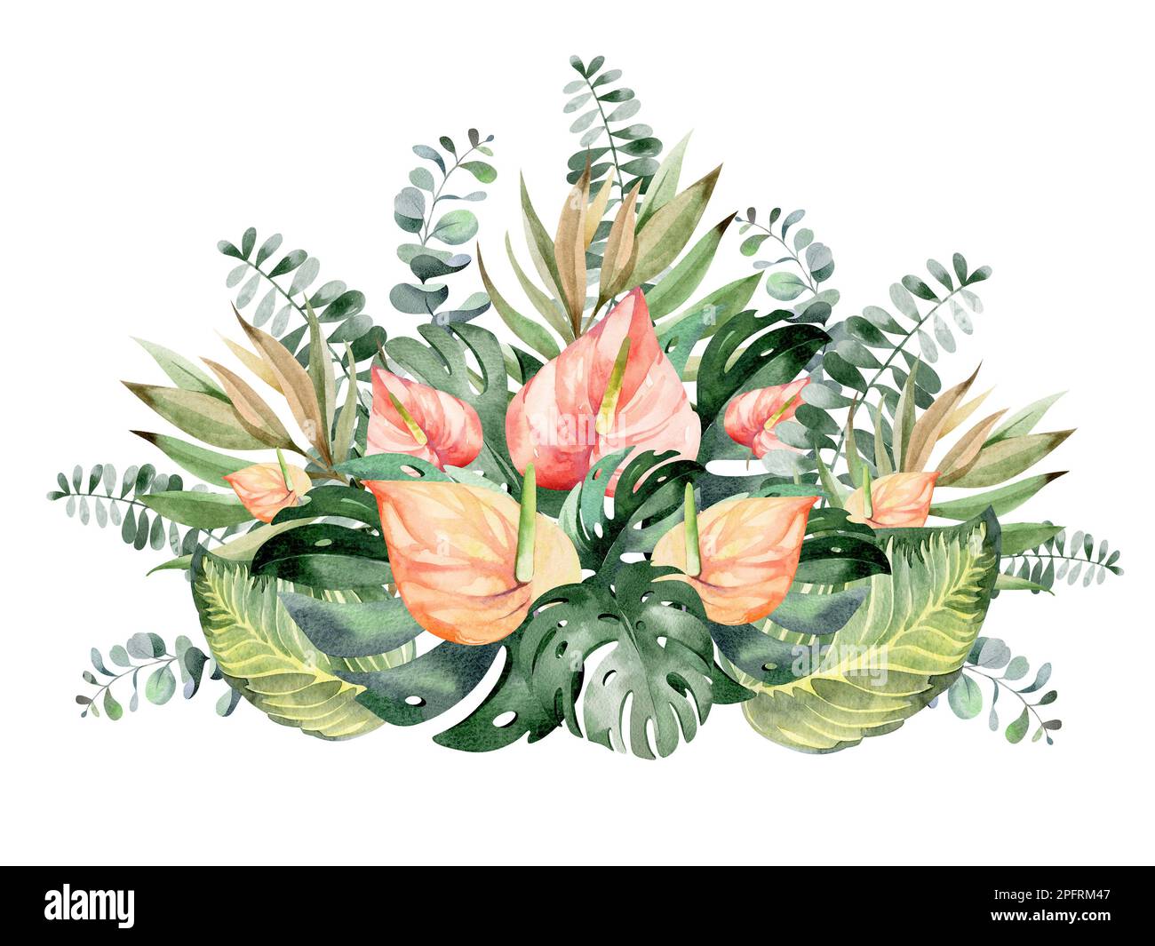 A set of illustrations of watercolor floral bouquet - gently pink ...