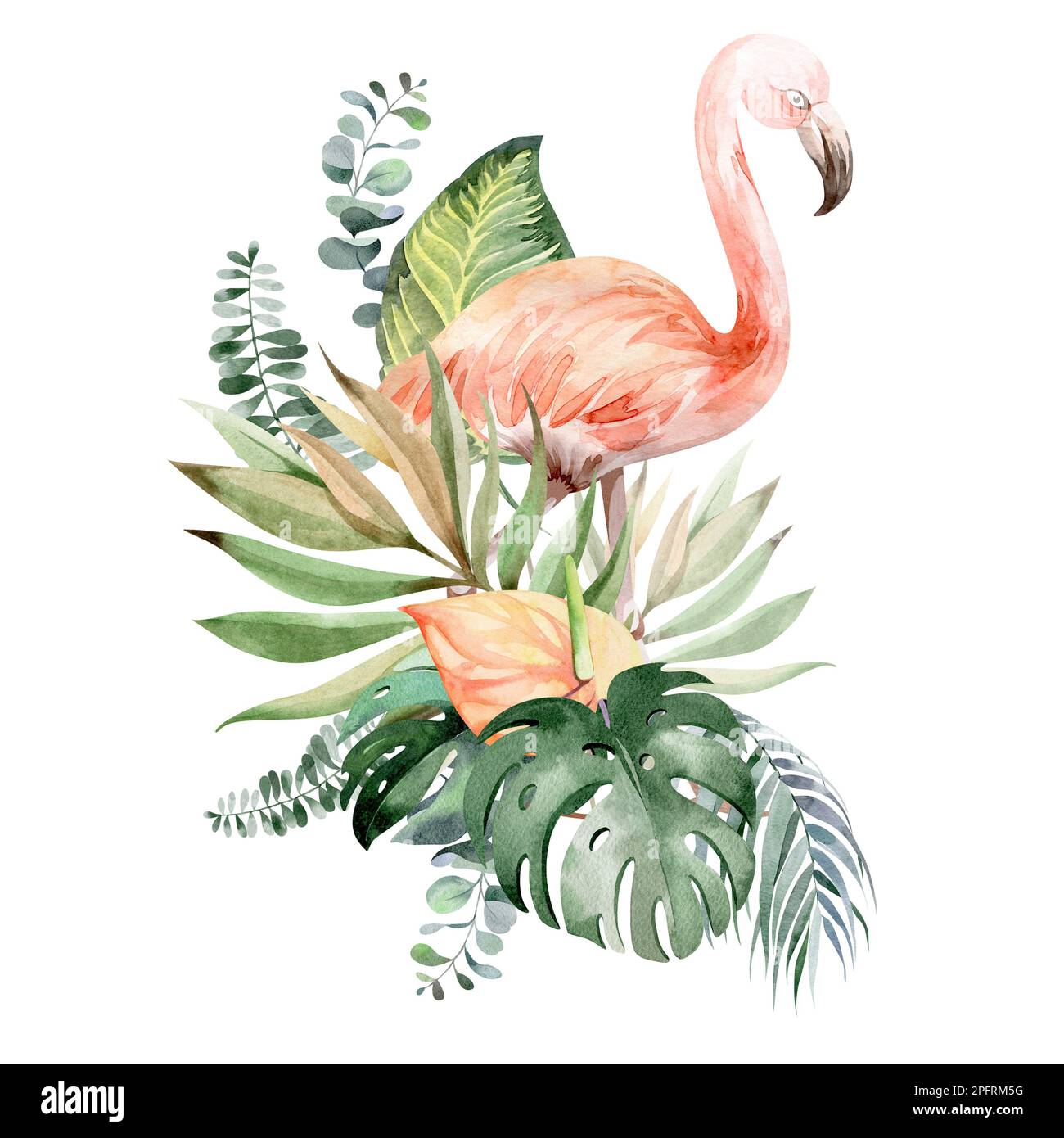 Watercolor tropical flowers. Bouquet of tropical plants and flowers of ...