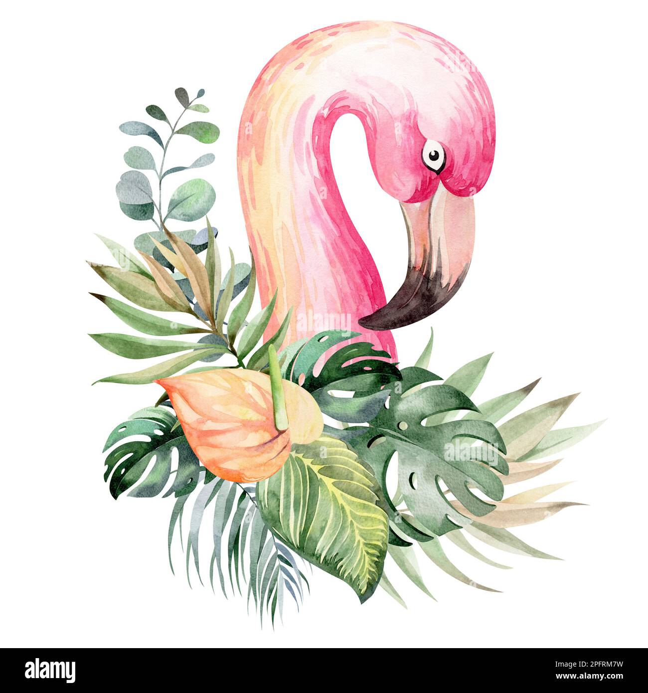 Flowers leaves tropical plants Cut Out Stock Images & Pictures - Alamy