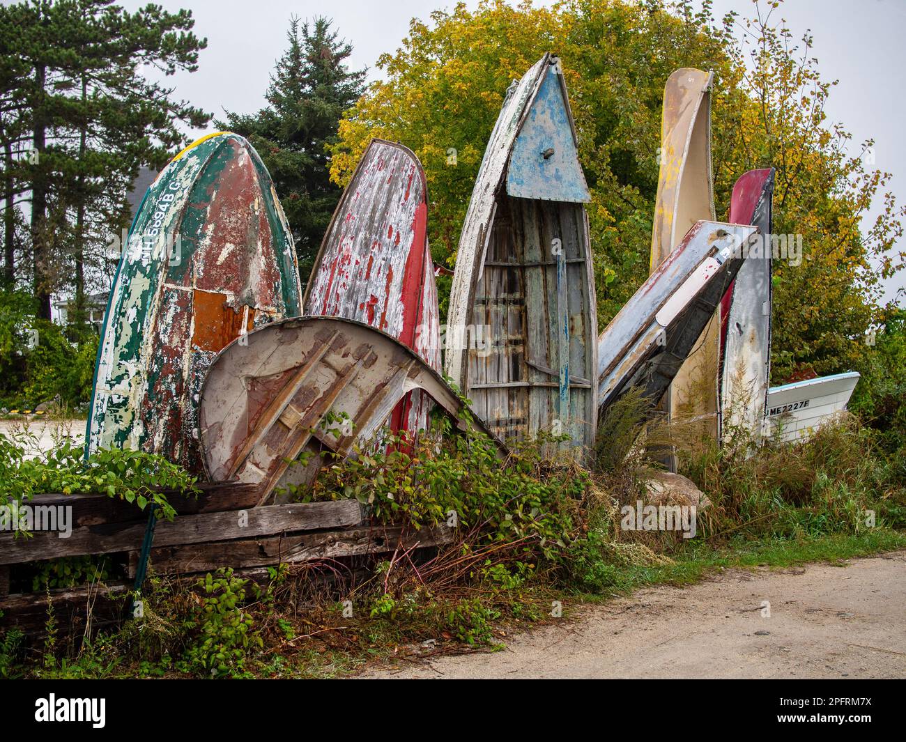 Colorful and weathered wooden boats standing next to each with tree in ...
