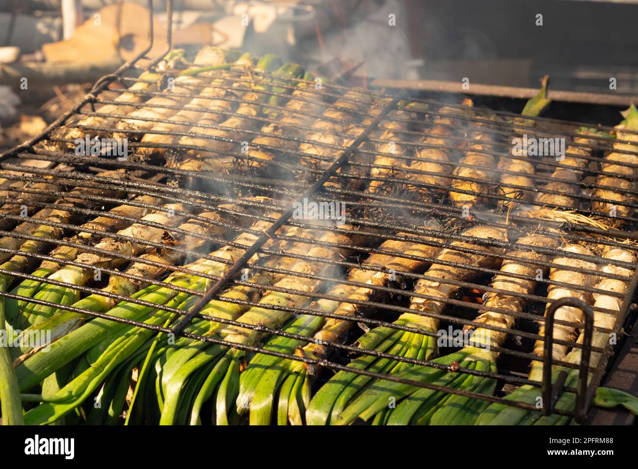 Calçots, a young Catalan onion. "Calçotada". typical catalan food. They ...