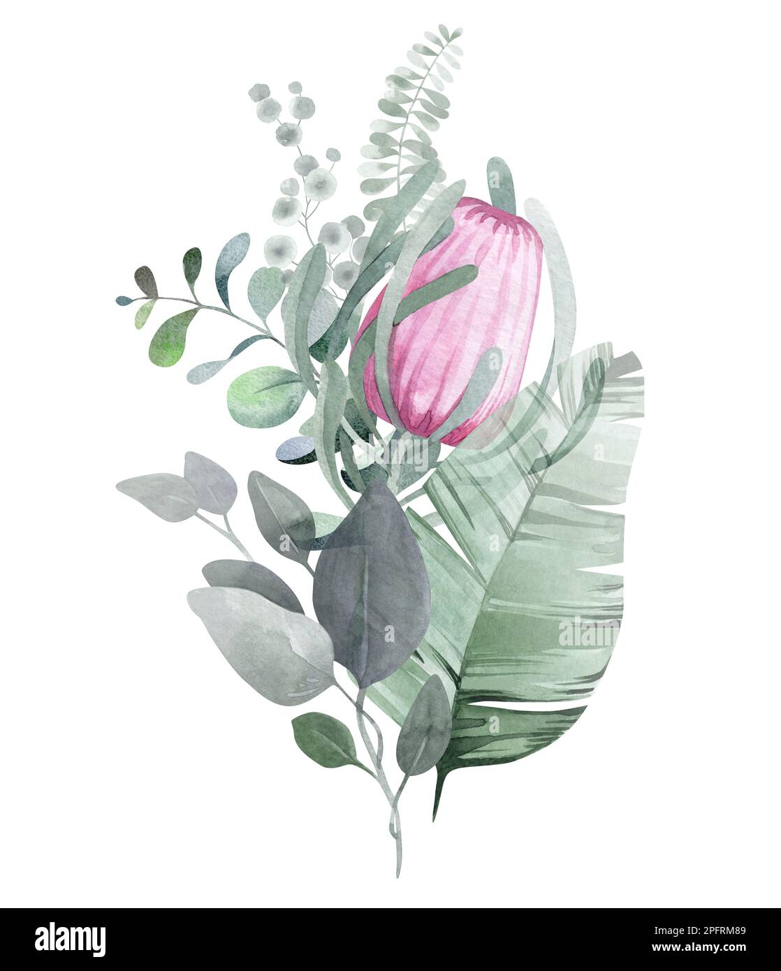 A set of illustrations of watercolor floral bouquet - gently pink ...