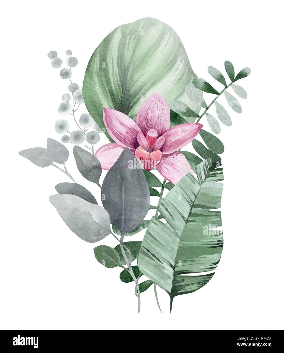 A set of illustrations of watercolor floral bouquet - gently pink ...