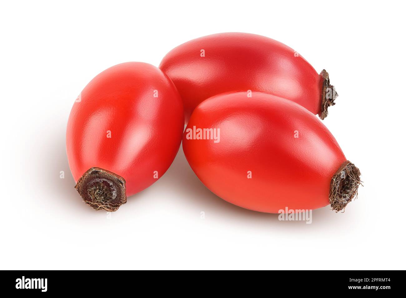 Rose hip isolated on a white background with full depth of field Stock ...