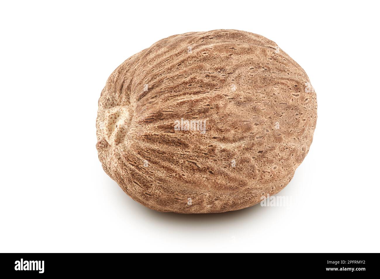 nutmeg isolated on white background with full depth of field Stock ...