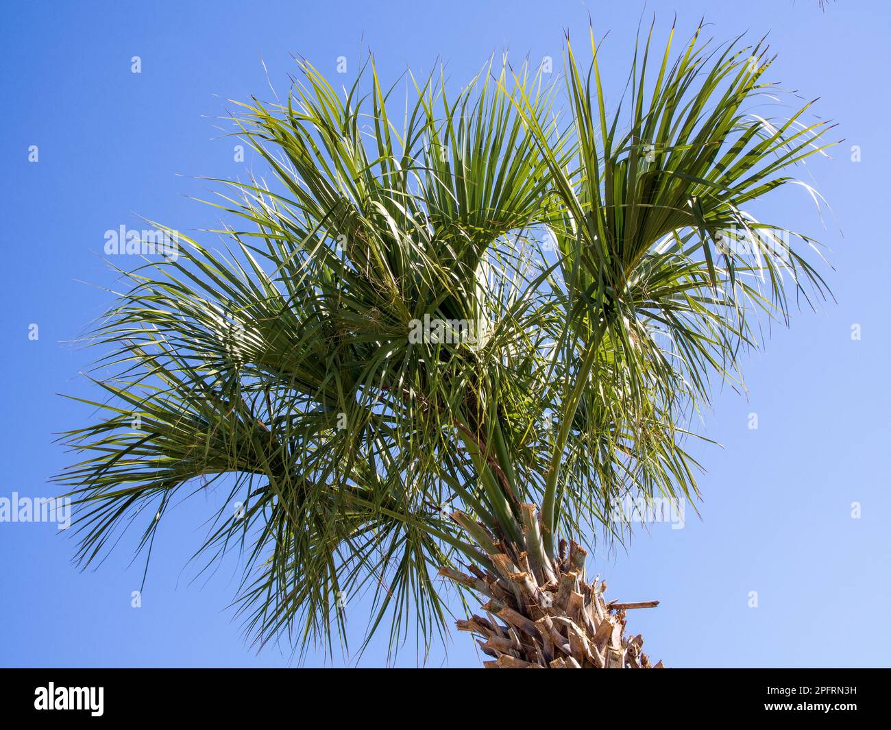 Clea blue sky hi-res stock photography and images - Alamy