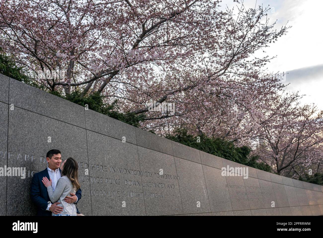 Roberto Flores and Emily Larson talk under a row of Yoshino cherry ...