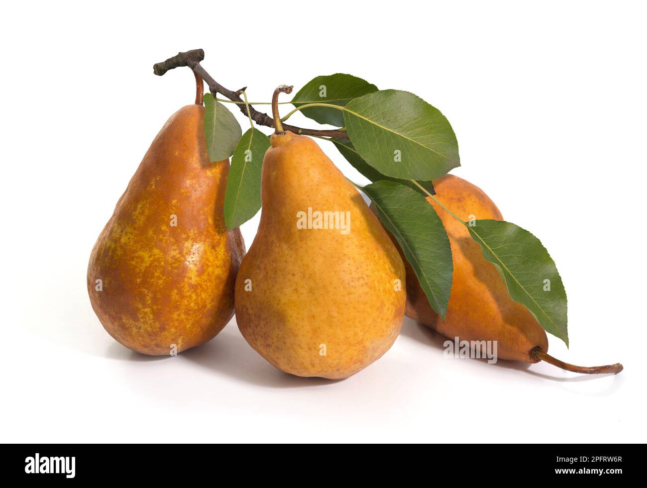 Ripe juicy yellow pears are isolated on a white background Stock Photo ...