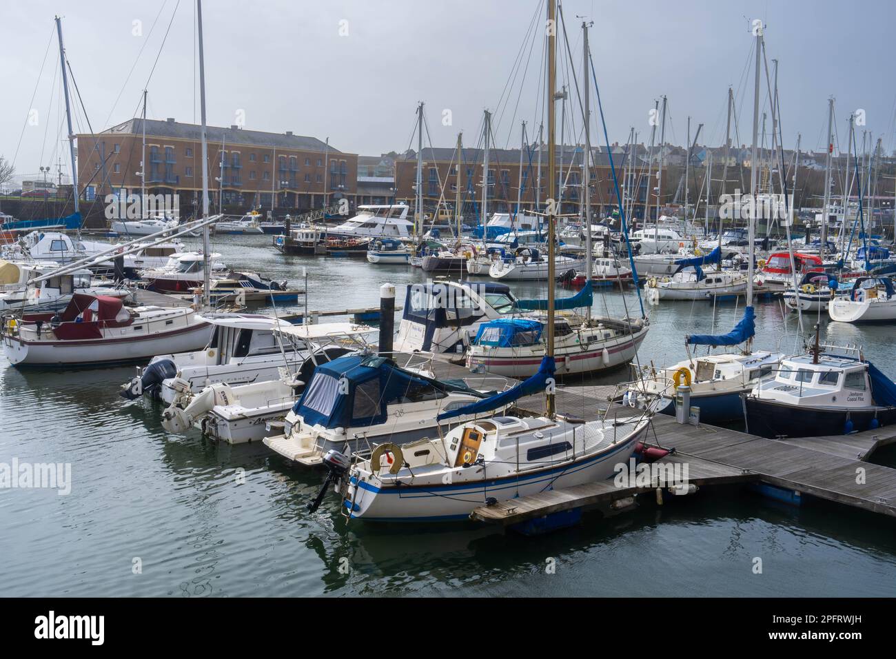 Yachts and boats moored in the harbour marina at Milford Haven ...