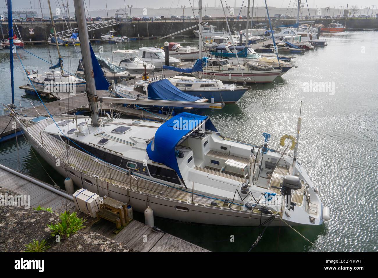 Yachts and boats moored in the harbour marina at Milford Haven ...