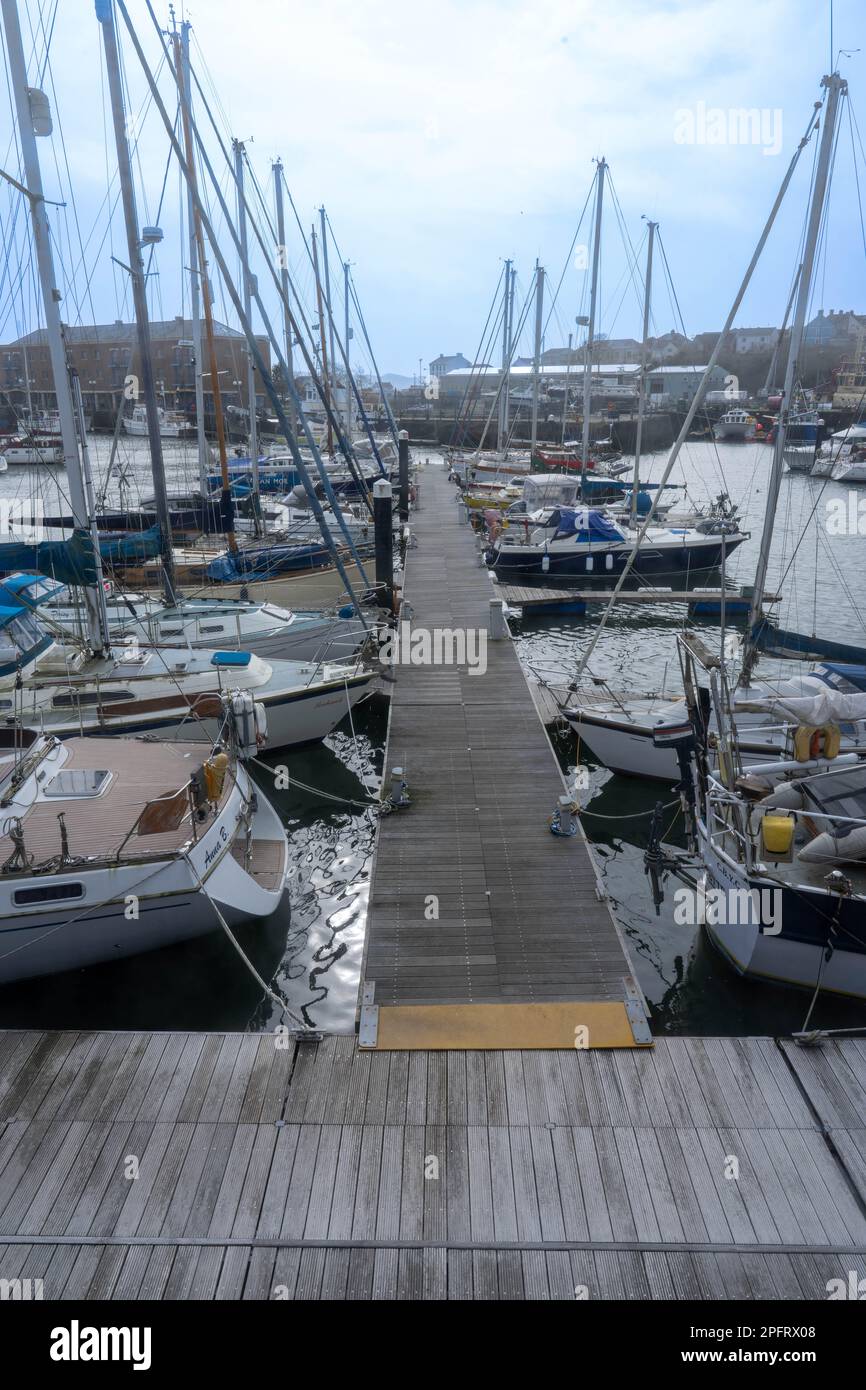 Yachts and boats moored in the harbour marina at Milford Haven ...