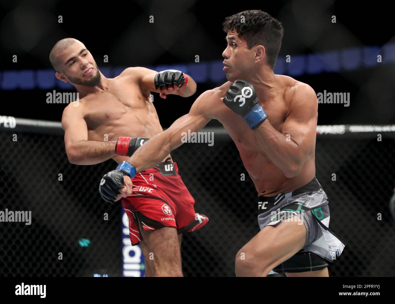 United Kingdom's Muhammad Mokaev (left) and Brazil's Jafel Filho in ...