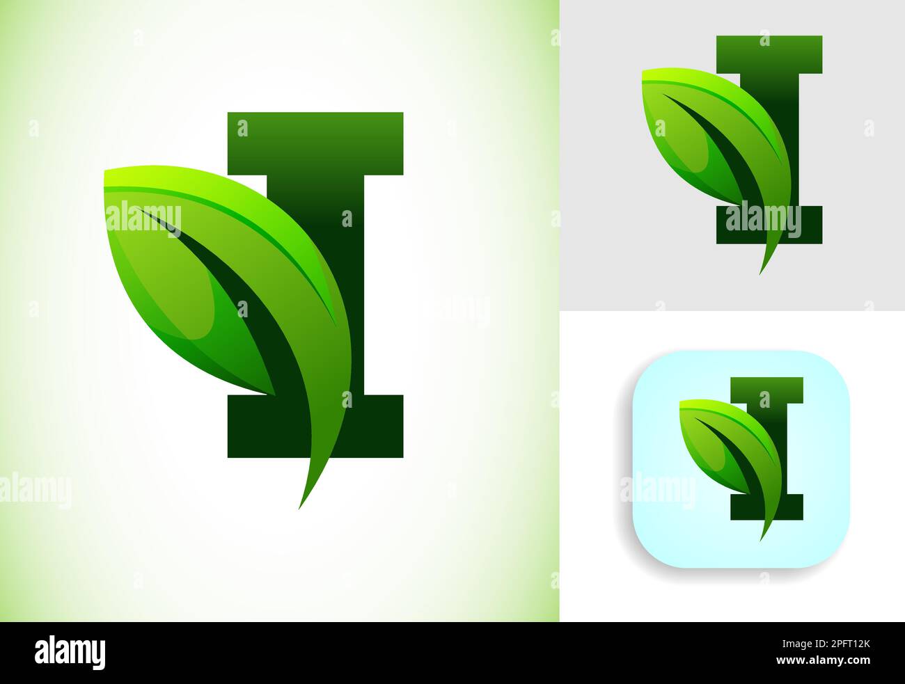 Initial alphabet with a leaf. Eco-friendly logo concept. Graphic ...