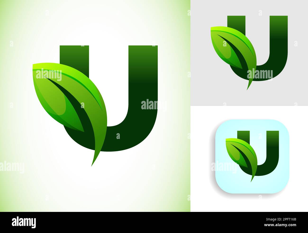 Initial alphabet with a leaf. Eco-friendly logo concept. Graphic ...