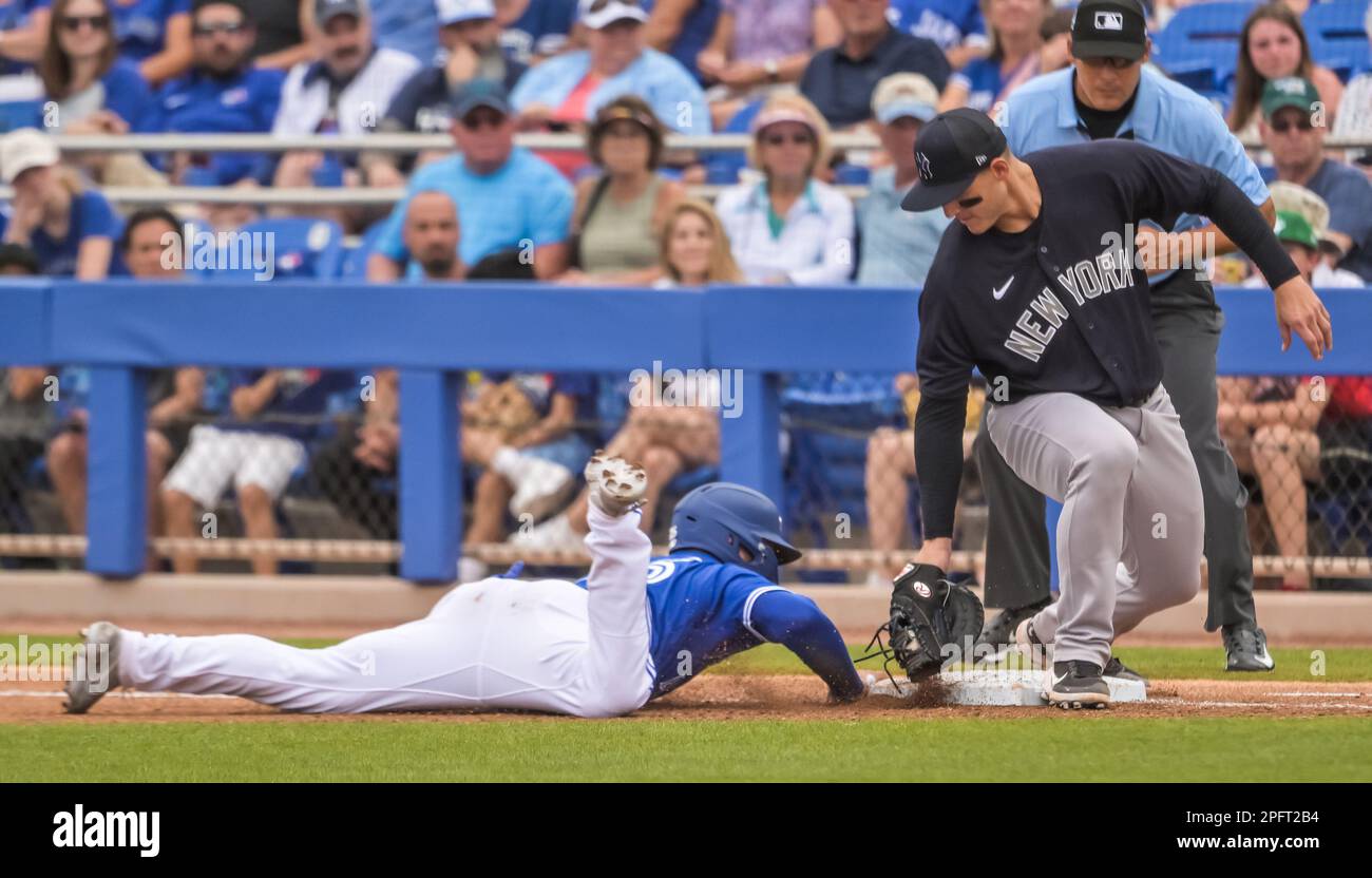 Td ballpark dunedin hi-res stock photography and images - Alamy