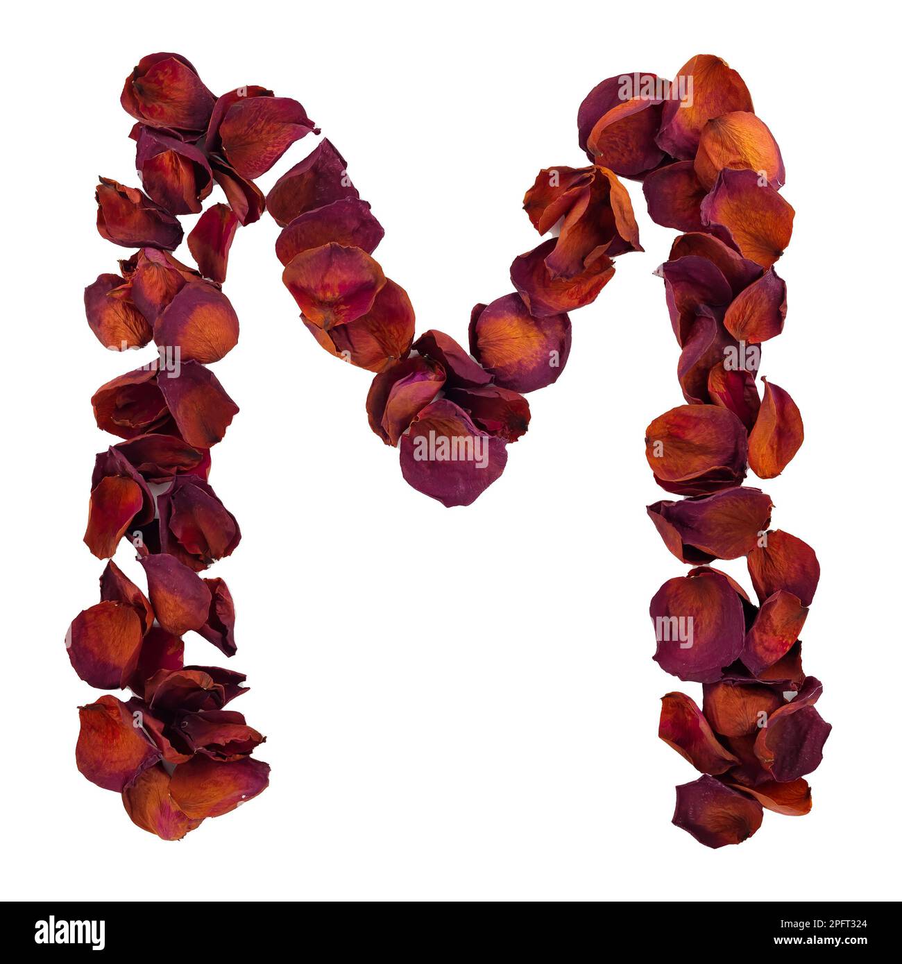 M Alphabet In Red Rose