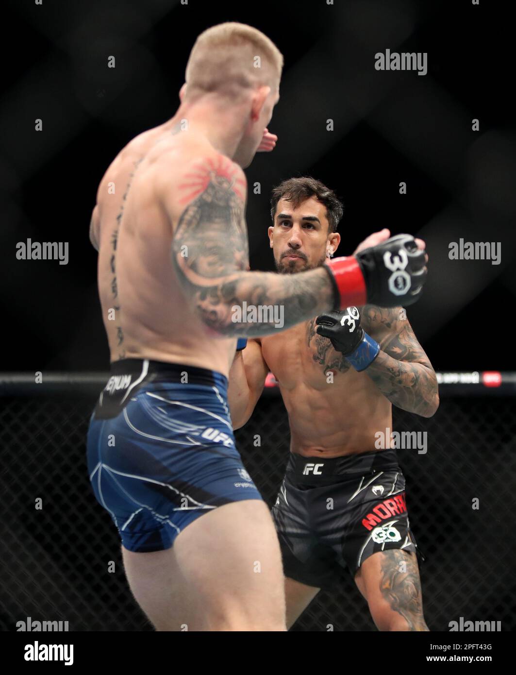 Chris Duncan (left) in action against Omar Morales in their lightweight ...