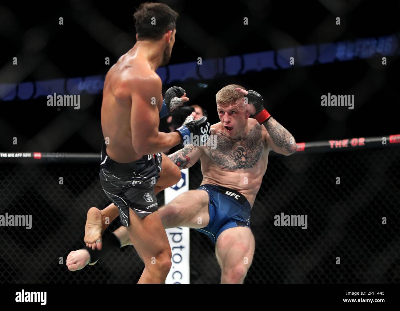 Omar morales hi-res stock photography and images - Alamy