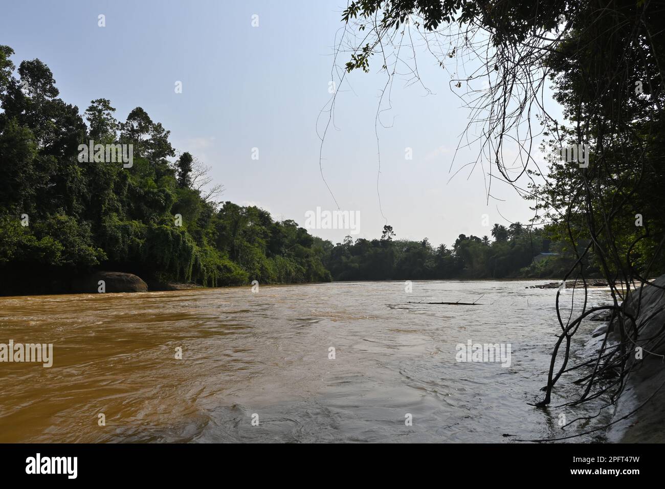 The dark brown muddy color water of the Kalu Ganga river is flowing ...
