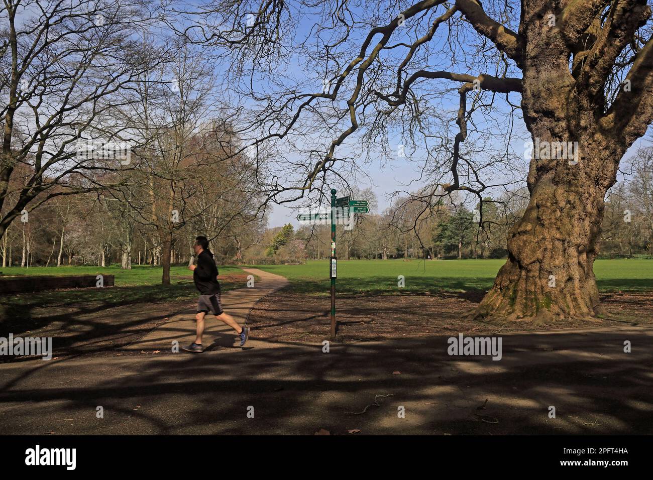 Bute Park with jogger and signpost on the path. March 2023. Winter ...