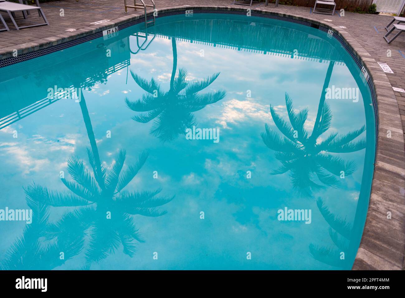 summer vacation pool with reflection. summer vacation pool with palm ...