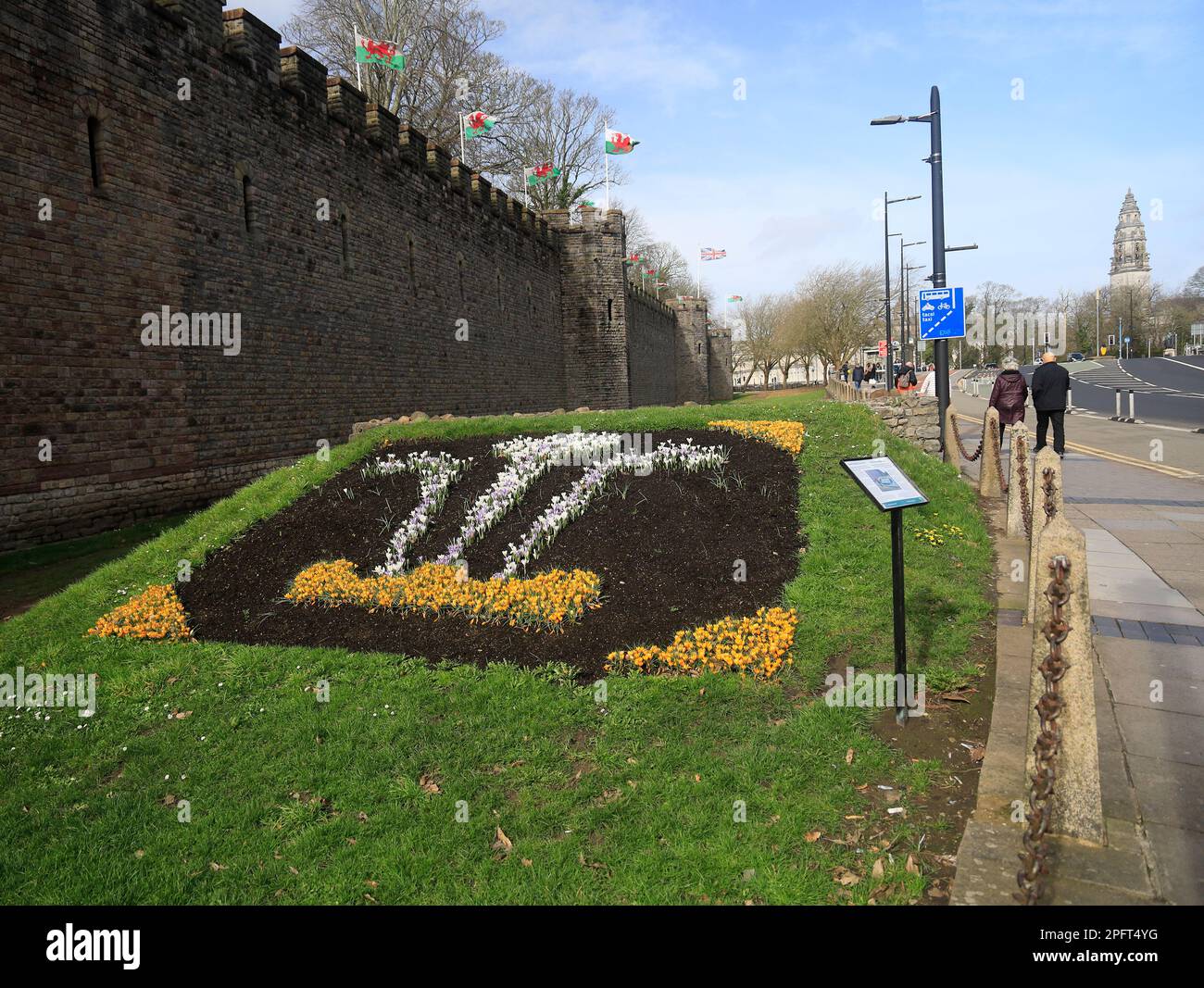 Three feathers crocus planting arrangement, outside Cardiff Castle ...