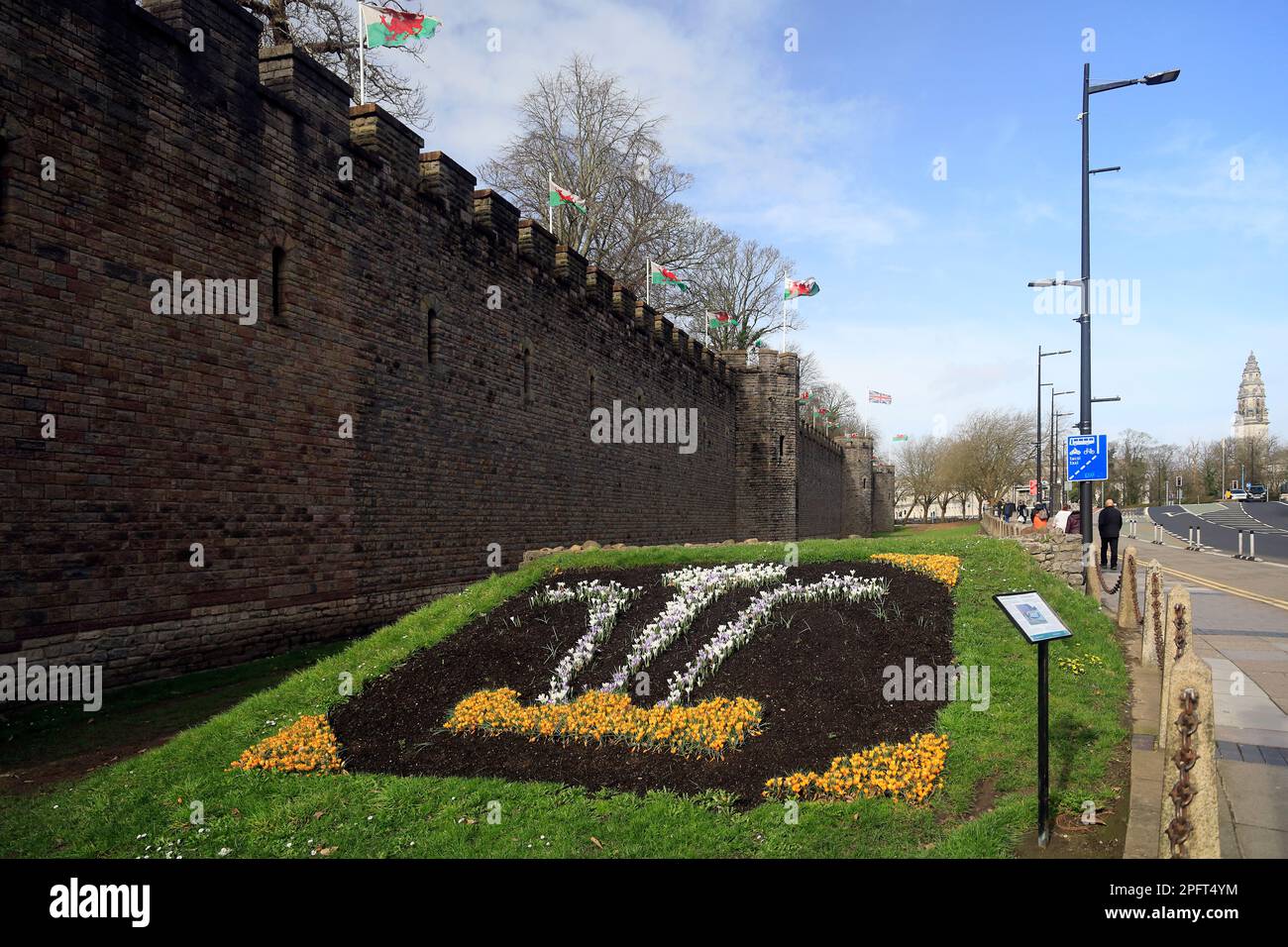Three feathers planted with crocus flowers, Cardiff Castle outside ...