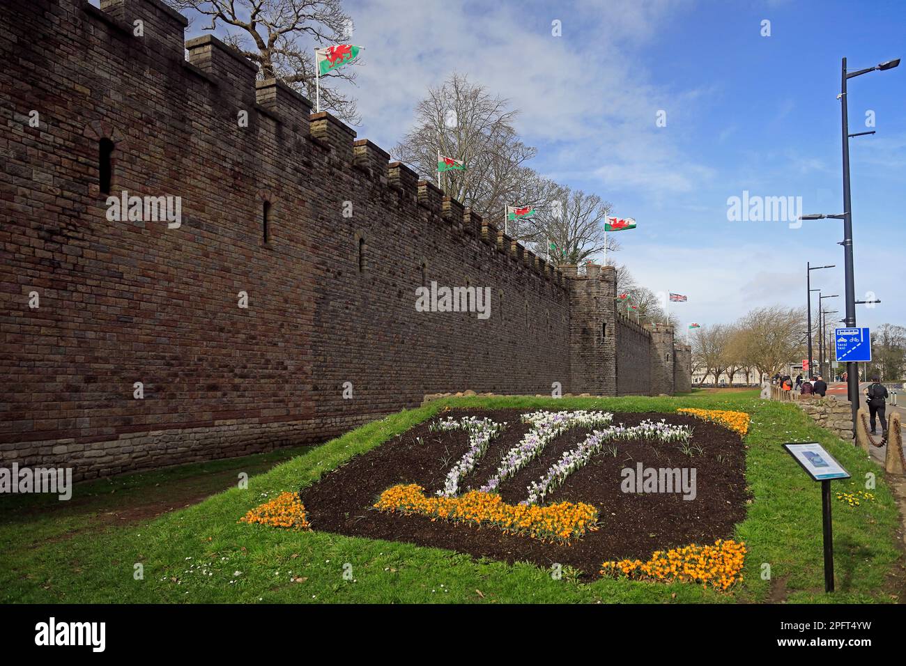 Three feathers crocus planting arrangement, outside Cardiff Castle ...
