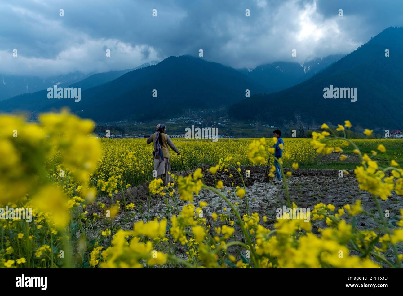 March 18, 2023, Ganderbal, Jammu and Kashmir, India: A woman and her ...