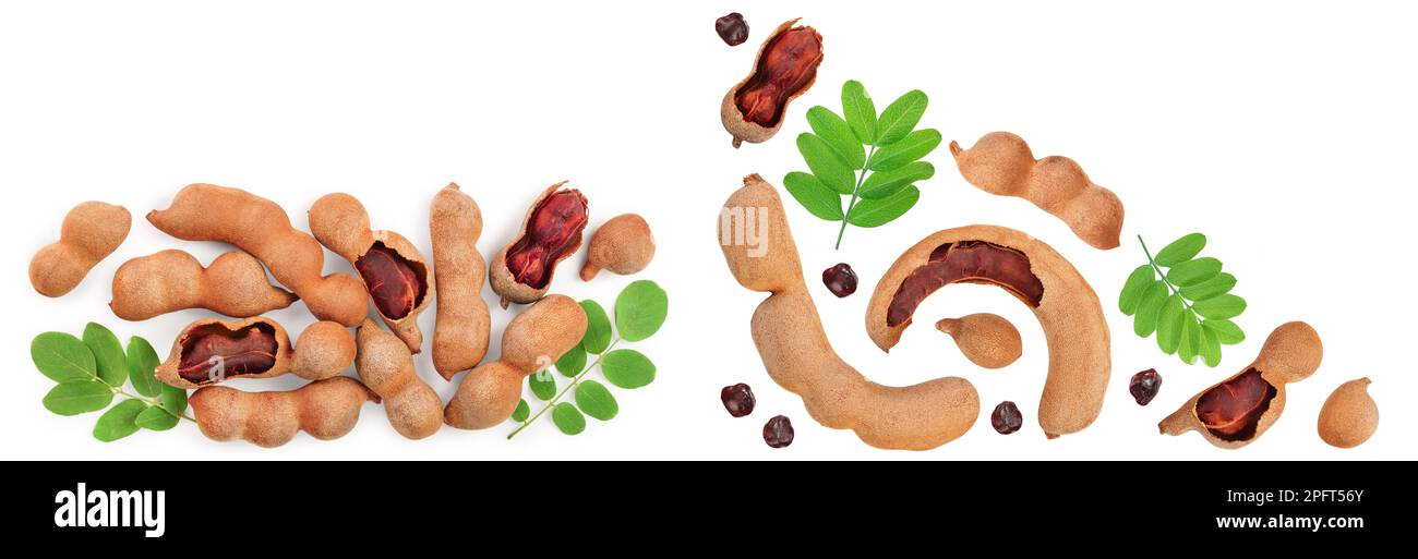 Tamarind fruit with leaf and seed isolated on white background with ...