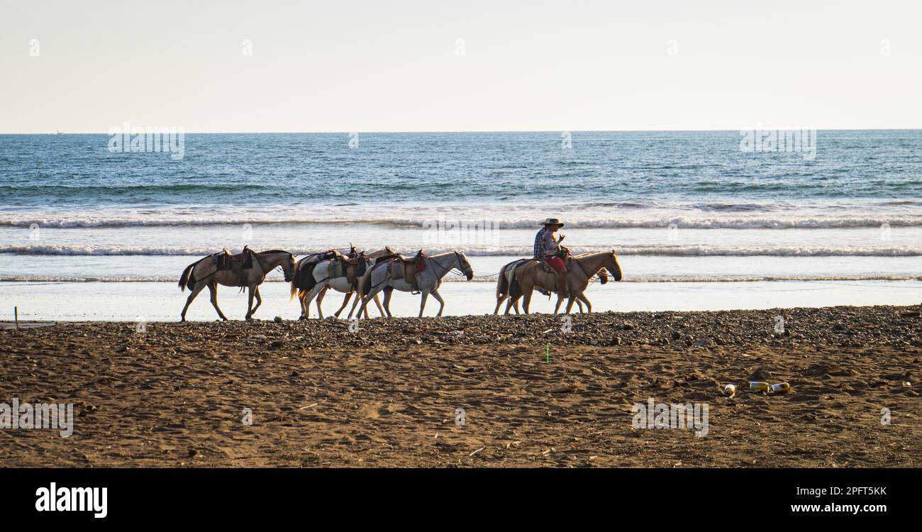 Two Costa Rican cowboys leading 4 horses along the beach in Jaco, Costa ...
