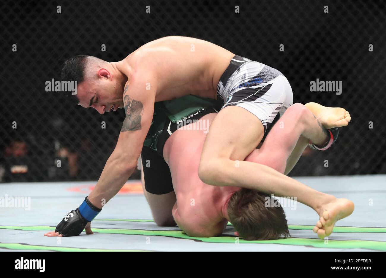 Makwan Amirkhani (left) and Jack Shore in action in their featherweight ...