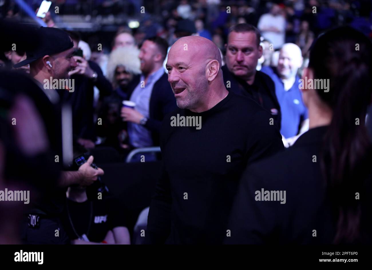 UFC President Dana White during UFC 286 at O2 Arena, London Picture ...