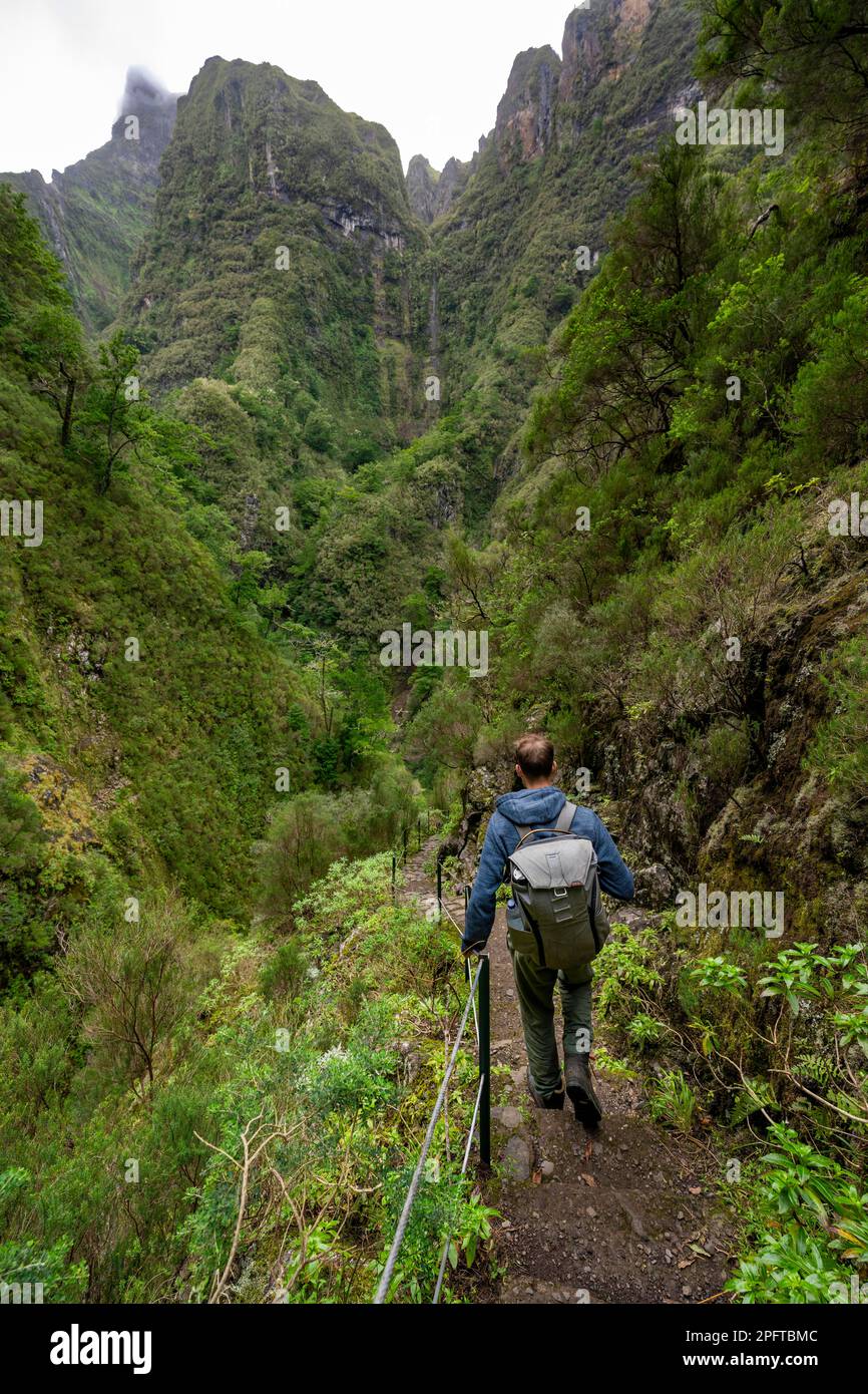 Hikers on a narrow path along a levada, forested mountains and ravines ...
