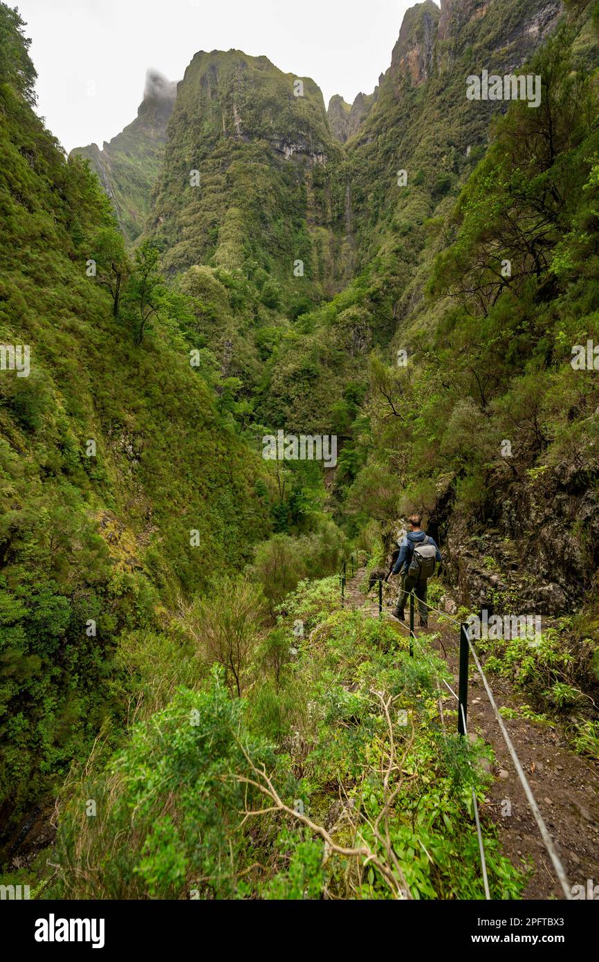Hikers on a narrow path along a levada, forested mountains and ravines ...
