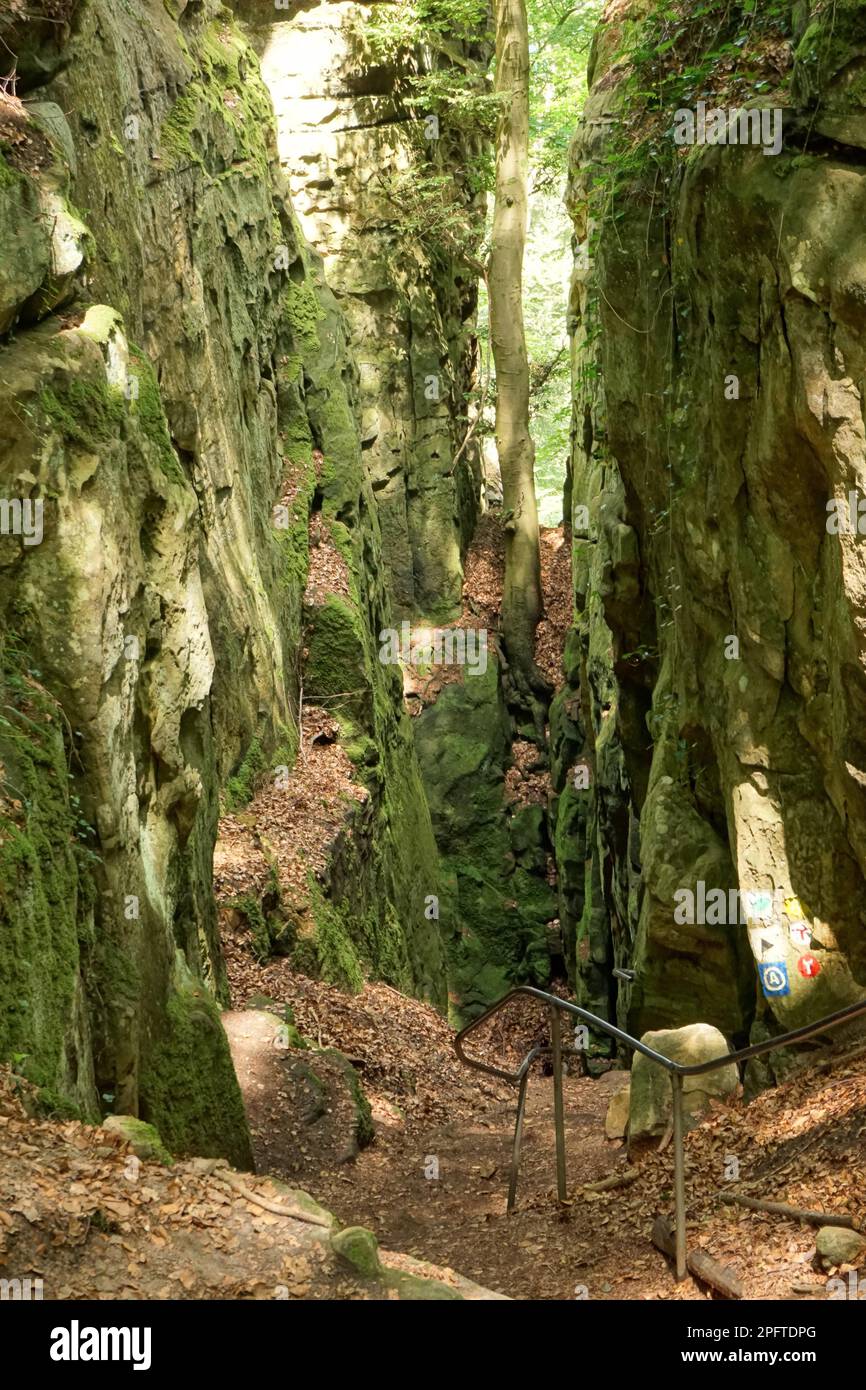 Devil's Gorge, between Irrel and Ernzen, Southern Eifel nature Park ...