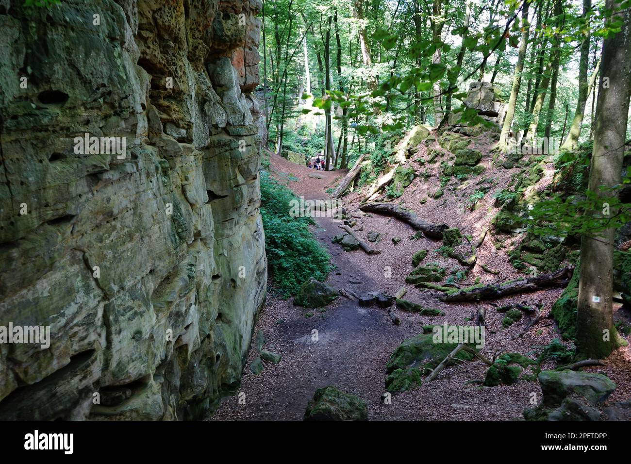 Naturpark suedeifel hi-res stock photography and images - Alamy