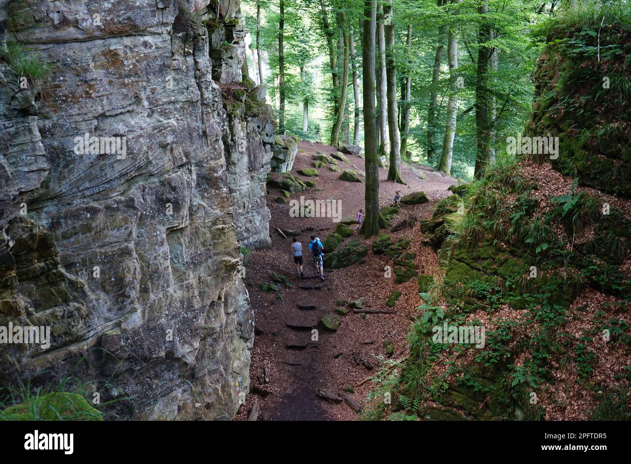 Naturpark suedeifel hi-res stock photography and images - Alamy