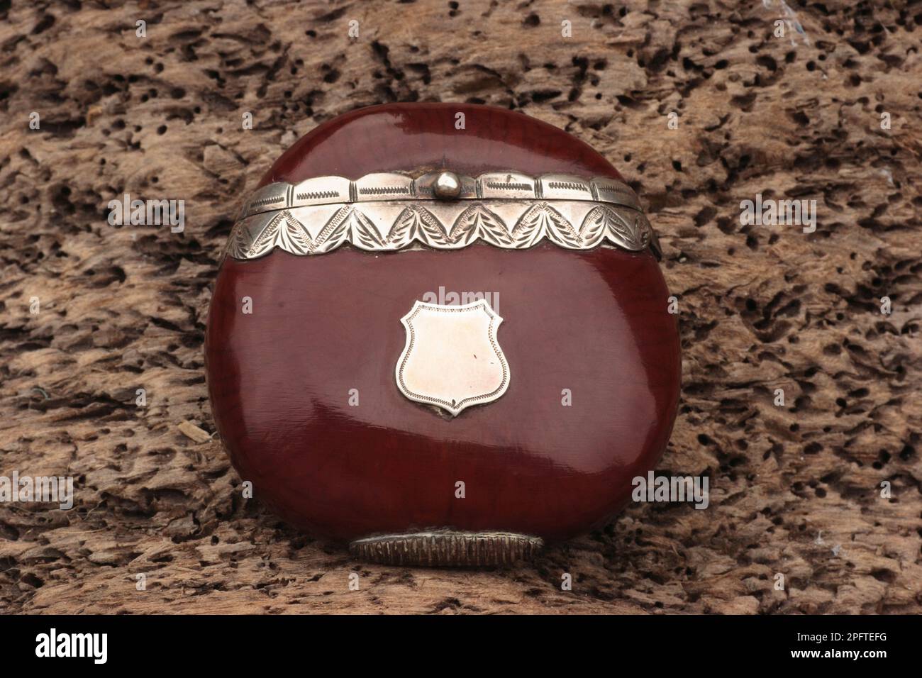 Sea Bean (Entada gigas) seed, made into vesta case, England, United ...