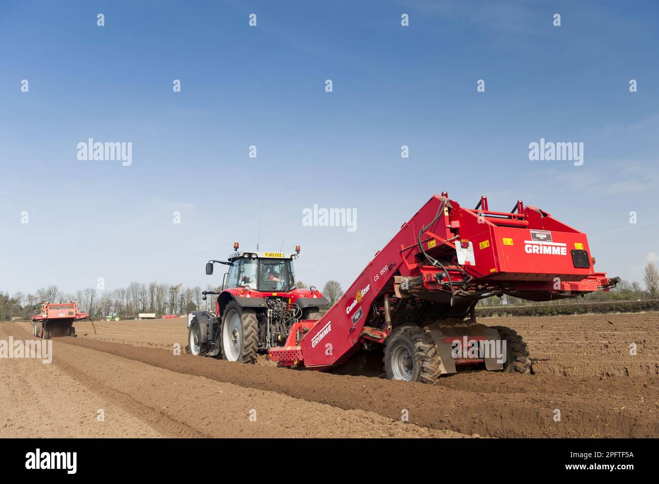 Potato (Solanum tuberosum) crop, preparing seedbed using Grimme stone ...