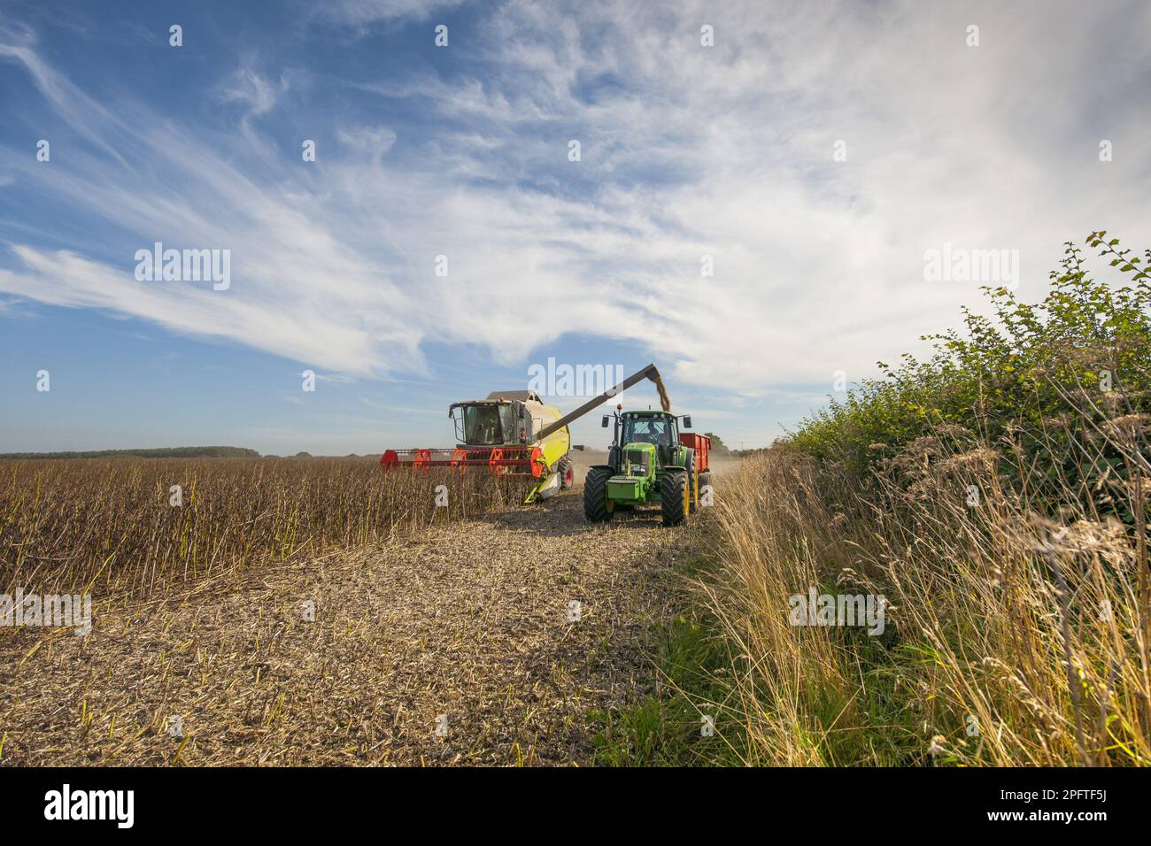 Combine harvester, agricultural machinery, agriculture, agricultural ...