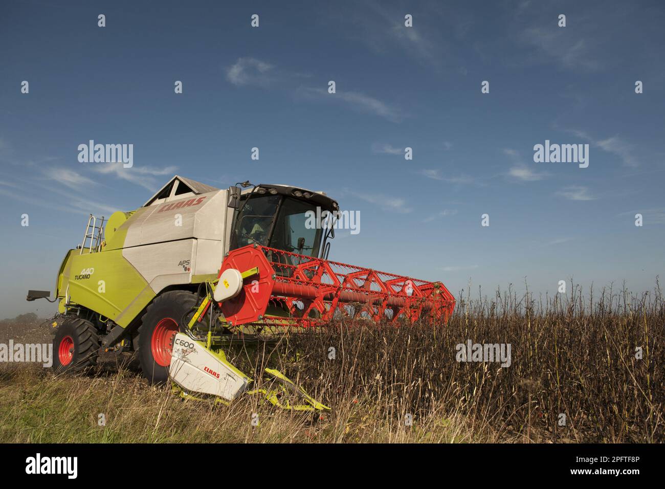 Combine harvester, agricultural machinery, agriculture, agricultural ...