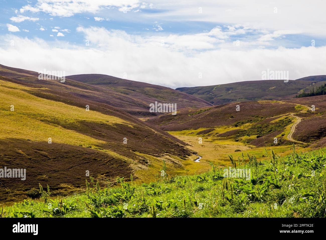 Highlands, Aberdeenshire, Scotland, UK Stock Photo - Alamy