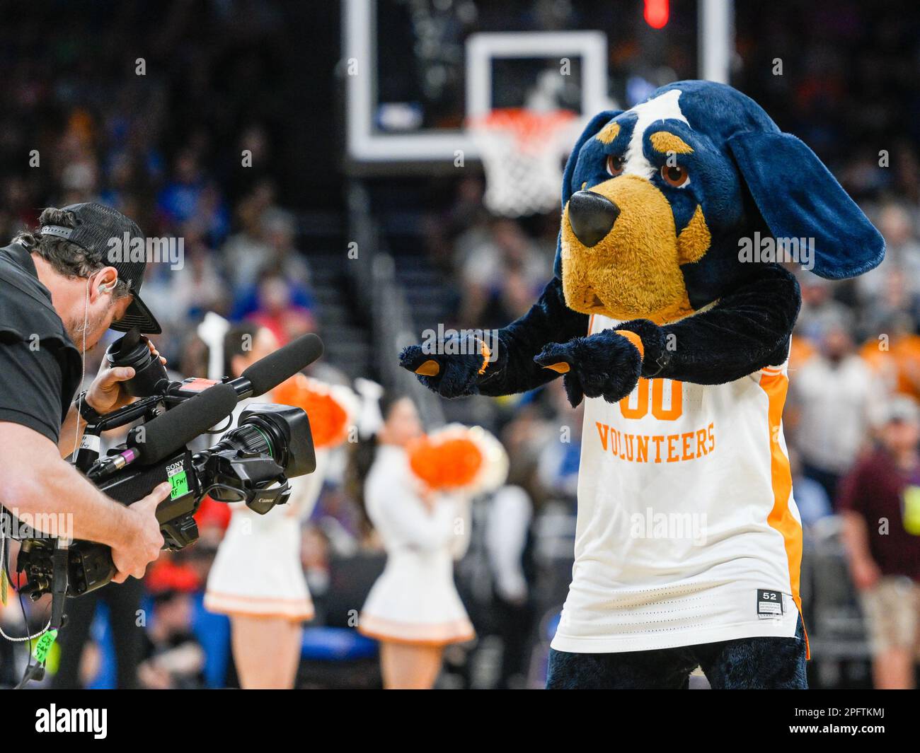 Duke mascot 2023 hi-res stock photography and images - Alamy