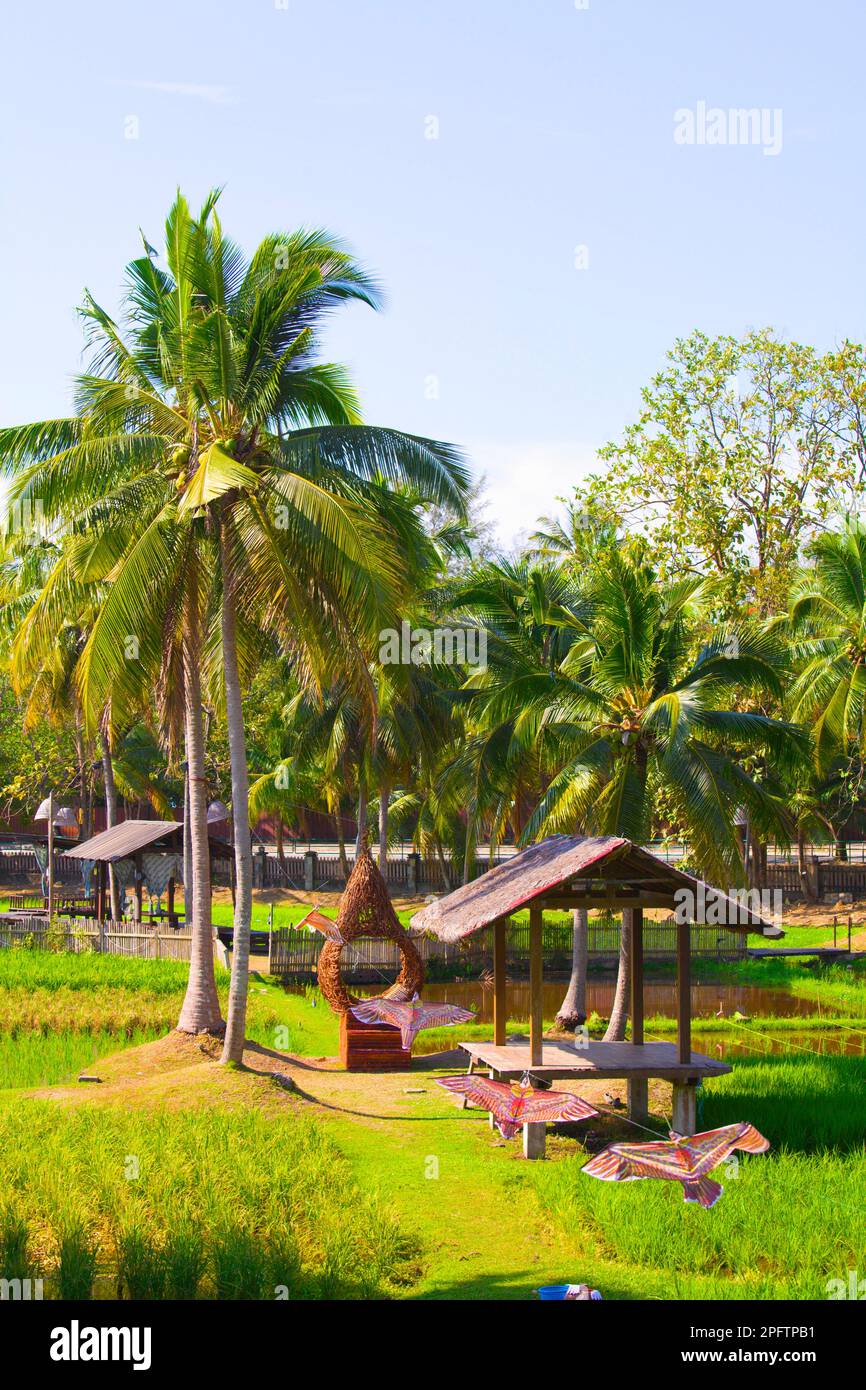 Malaysia, Langkawi, Laman Padi, rice plantation, museum Stock Photo - Alamy
