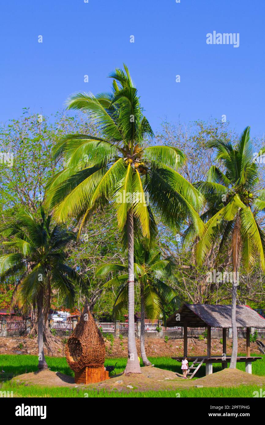 Malaysia, Langkawi, Laman Padi, rice plantation, museum Stock Photo - Alamy