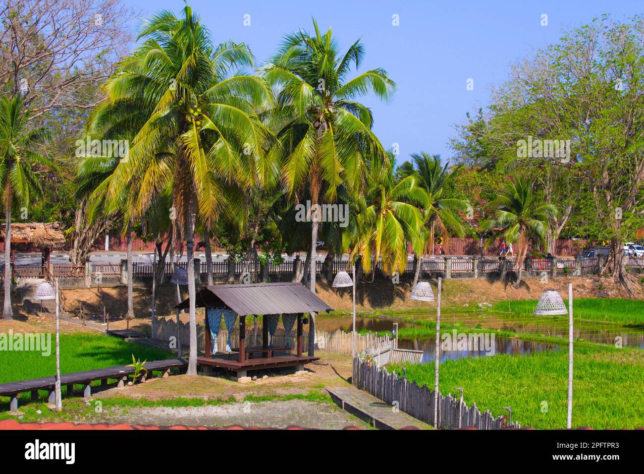 Malaysia, Langkawi, Laman Padi, rice plantation, museum Stock Photo - Alamy
