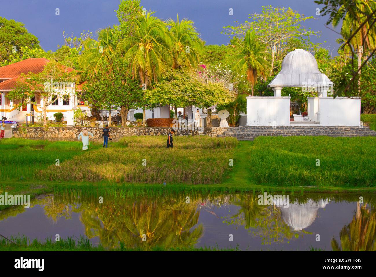 Malaysia, Langkawi, Laman Padi, rice plantation, museum Stock Photo - Alamy