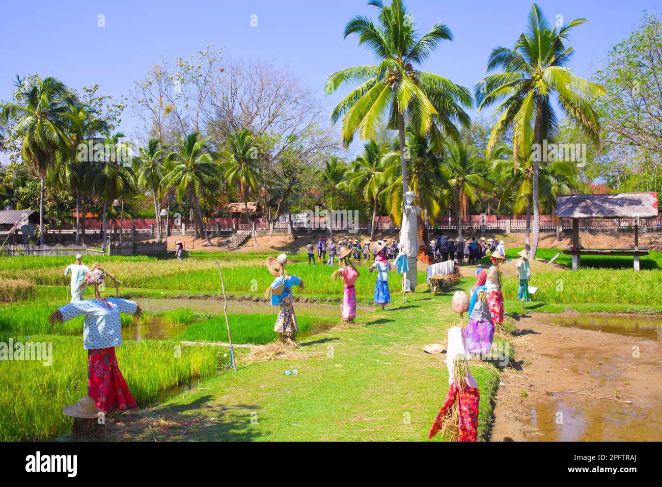 Malaysia, Langkawi, Laman Padi, rice plantation, museum Stock Photo - Alamy