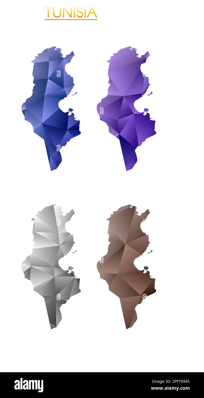 Set of vector polygonal maps of Tunisia. Bright gradient map of country ...